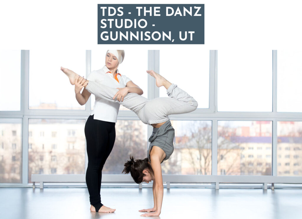 TDS – The Danz Studio – Children First Education Fund | Service Providers
